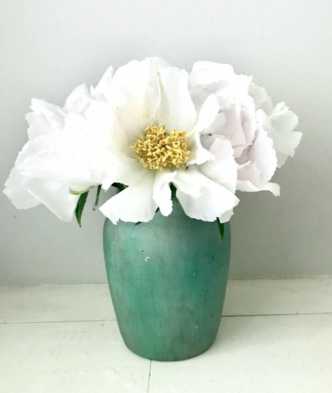 FROM THE MAYOR'S OFFICE: Spring into Summer - Joy and Loss - Village of ...